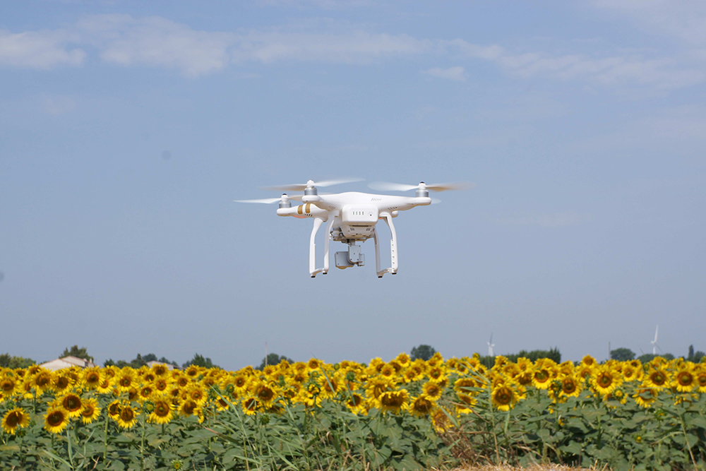 Accueil - Creacom Paca